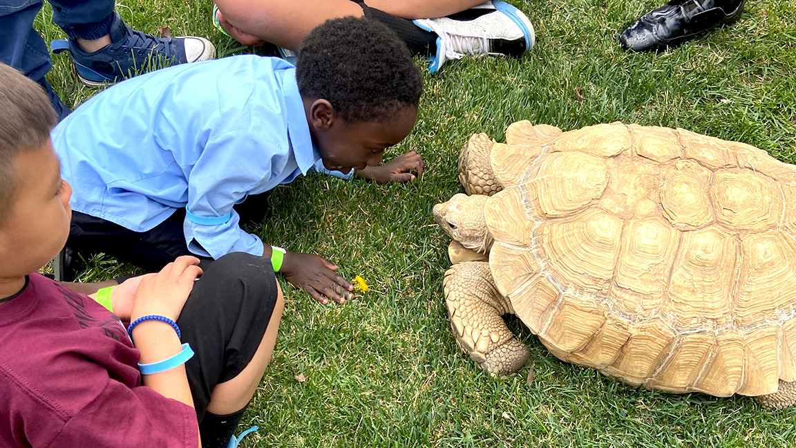 HUNDREDS LEARNED, PLAYED, AND GREW IN CHRIST AT ADVENTURER FUN DAY ...